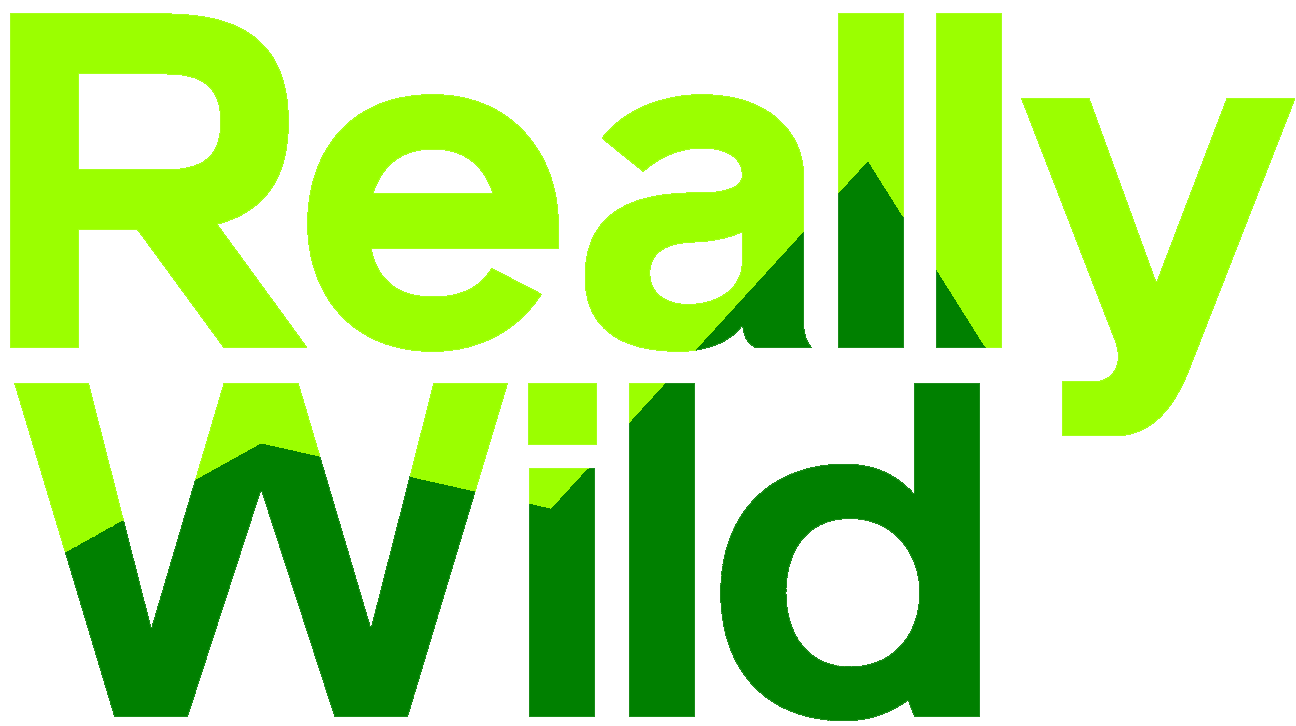 Really Wild Bushcraft: getting out into the wild and closer to nature.